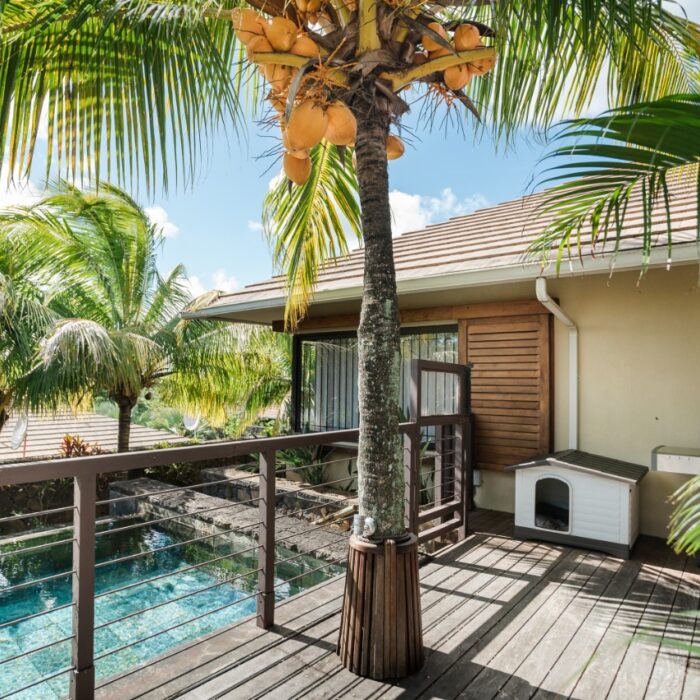 Structural Hardwood - LOTS.mu