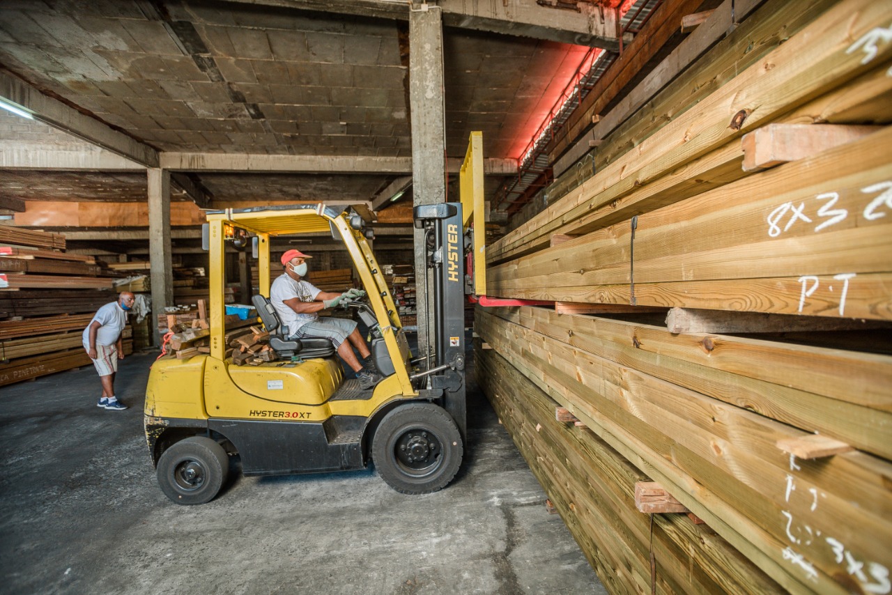 Treated Pine - LOTS.mu